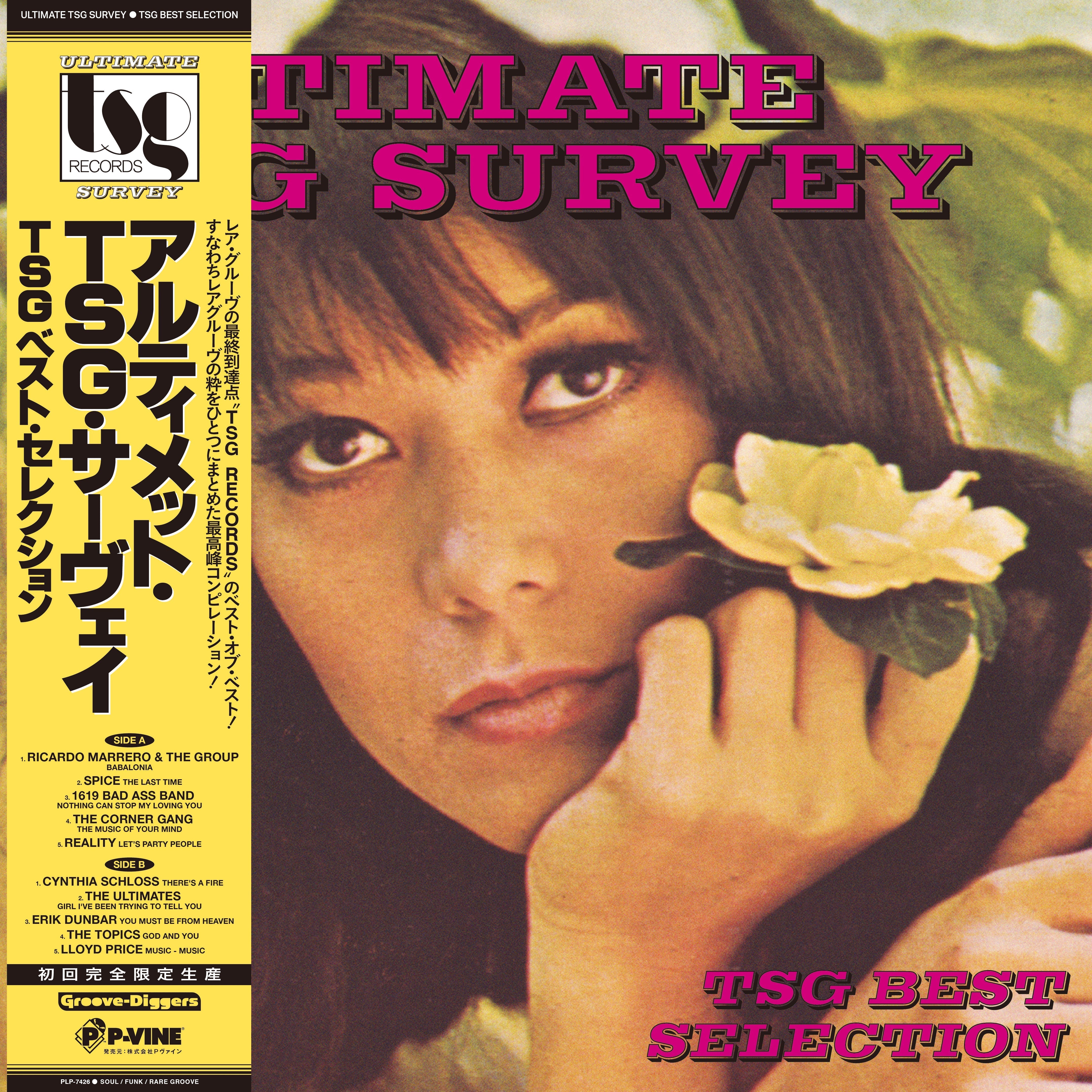 Ultimate Tsg Survey (Tsg Best Selection) | – Wow Cool